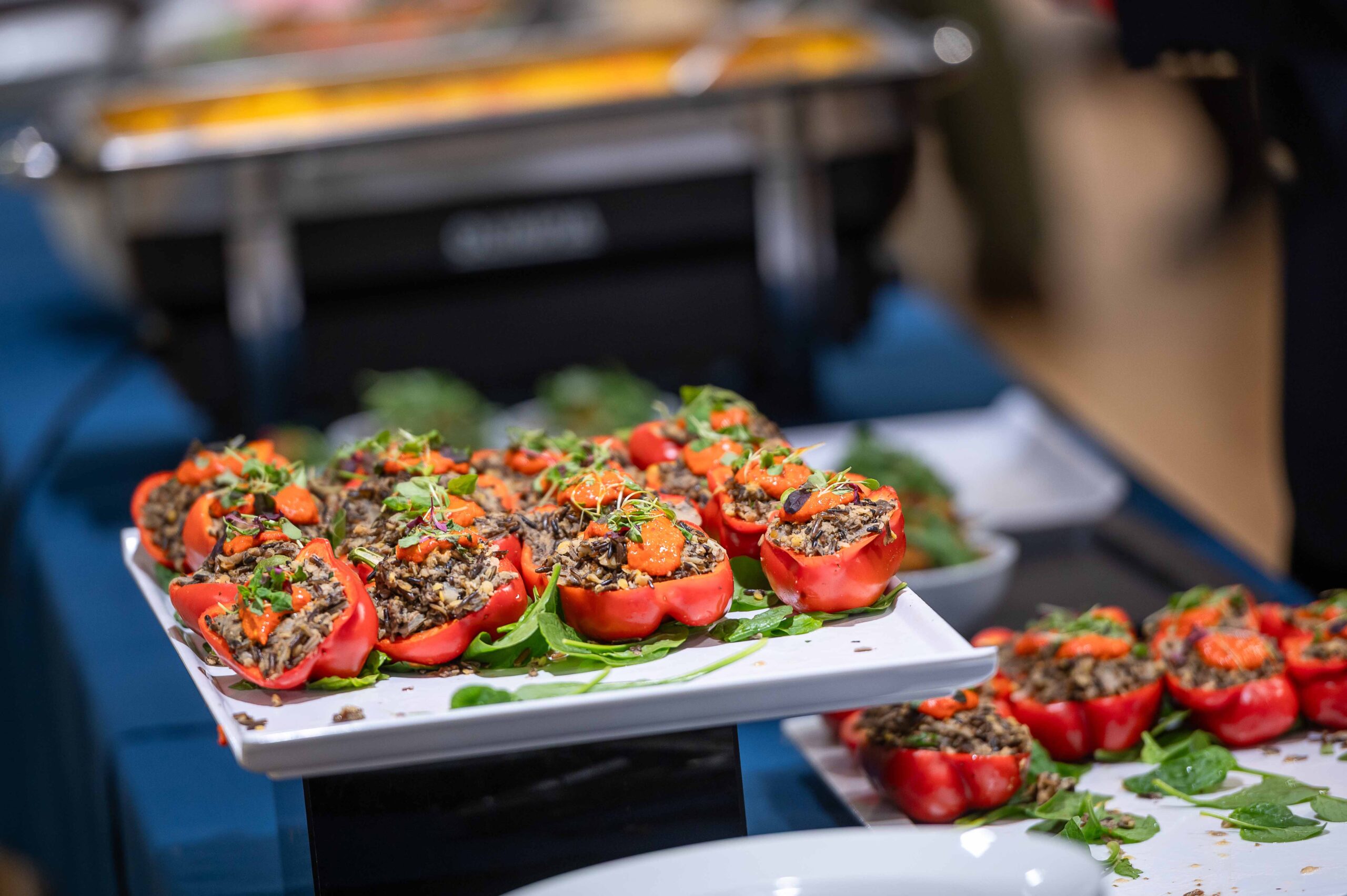 DAUK sustainability team propose plant-based school meals | Doctors ...